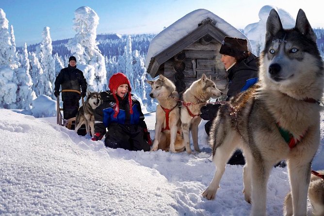 Arctic Circle Family Day - Requirements and Restrictions