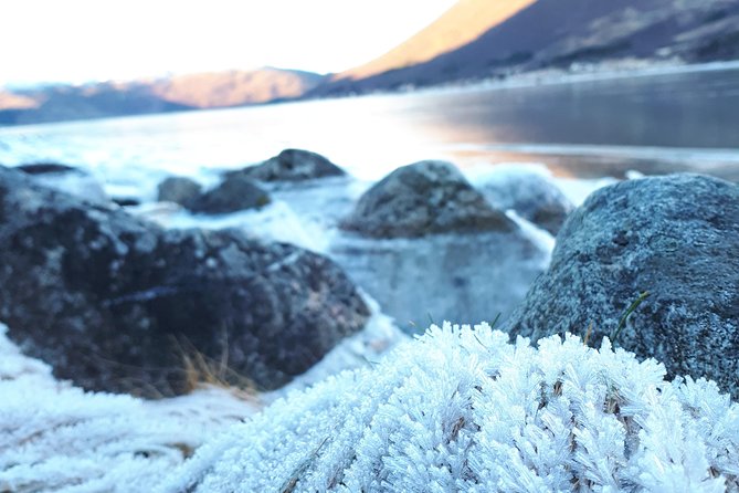 Arctic Fjord and Landscape Tour - Comfort and Convenience