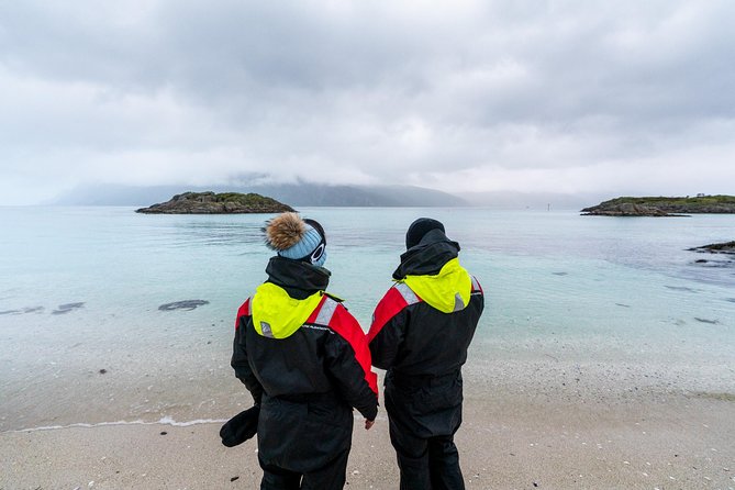 Arctic Fjord Sightseeing by Minibus - Culinary Delights Along the Way