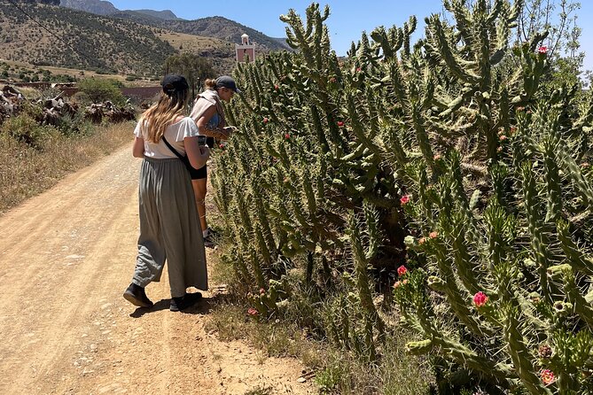 Atlas Earth Pottery and Nature Course in Amizmiz - Transport and Accessibility
