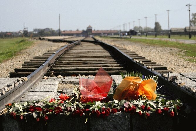 Auschwitz and Birkenau Guided Tour From Krakow - Accessibility and Visitor Information