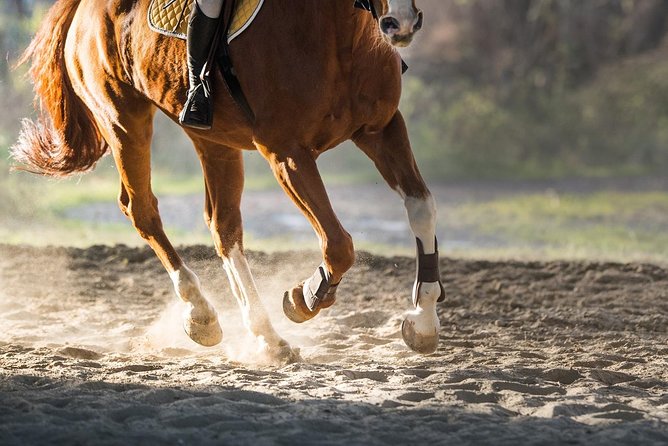 Awaken to Paros: A Scenic Morning Horseback Ride - Dedicated Local Guides