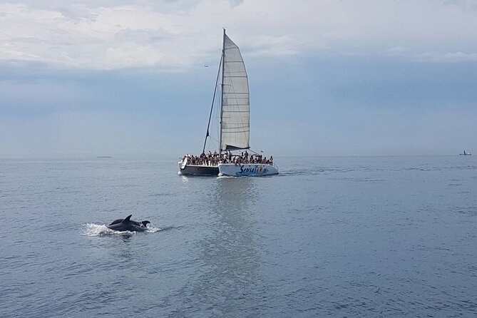 Barcelona Catamaran Party Tour For Young People - Customer Feedback