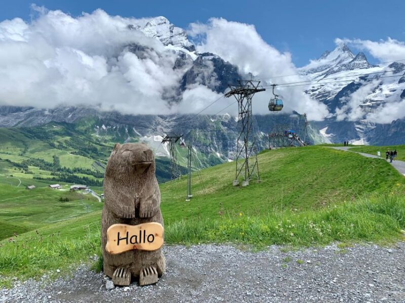 Bern: Grindelwald First & Bachalpsee Hiking Private Tour - Inclusions