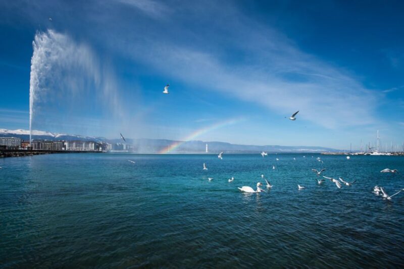 Best of Geneva: 2-Hour Tour of International Area & Old Town - Customer Insights