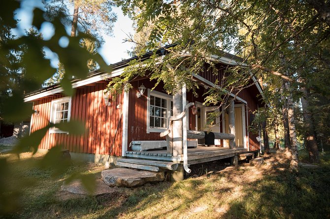 Best of Lapland: Sauna, Ice Swimming, Dinner & Northern Lights - Delicious Dinner Over an Open Fire