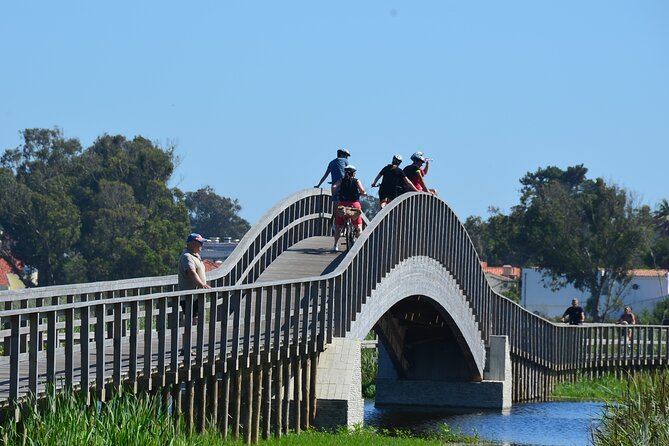 Bike or E-Bike Tour of Porto and Atlantic Coast - Reviews and Feedback