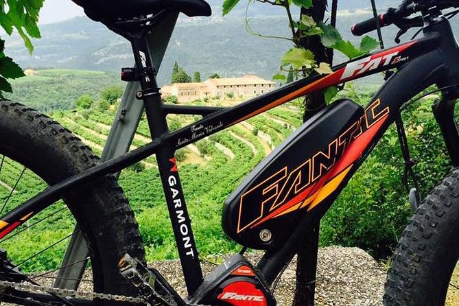 Bike Station Valpolicella: E-Bike Tour & Amarone Tasting - Guided Tasting of Valpolicella, Ripasso, and Amarone