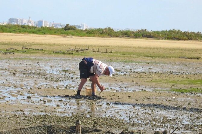 Birdwatching in Ria Formosa - Eco Boat Tour From Faro - Participant Information and Requirements