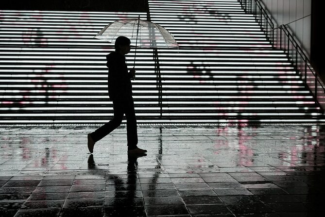 Blade Runner Photo Workshop in Shibuya With Laurence Bouchard - Health and Accessibility