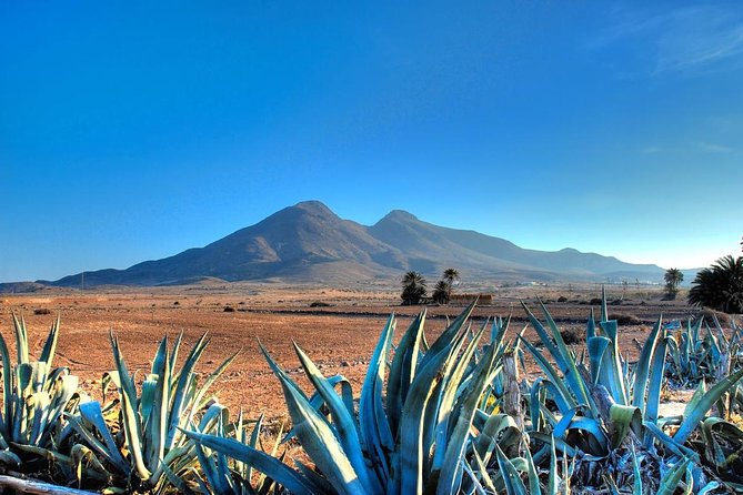 Cabo De Gata Natural Park From Roquetas, Aguadulce & Almeria - Emergency Contact Information