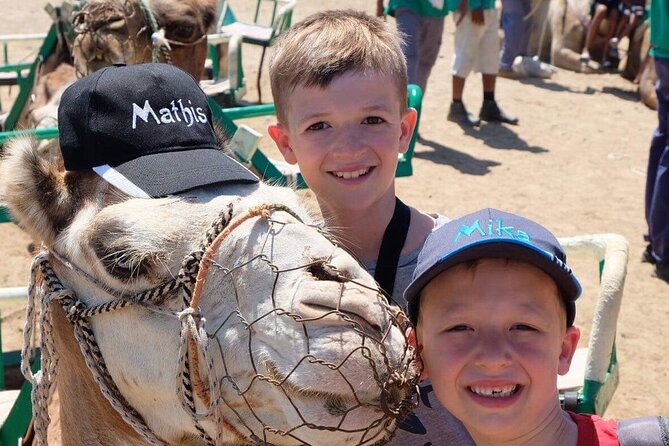 Camel Safari Through the Dunes of Maspalomas - Booking and Cancellation Policy