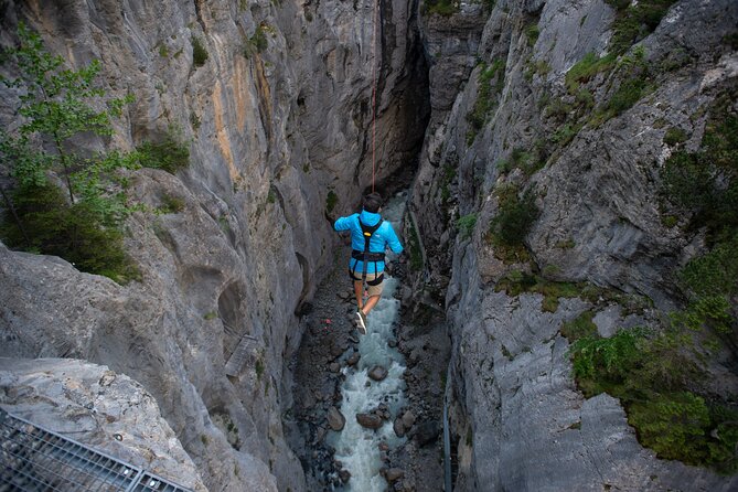 Canyon Swing With OUTDOOR - Reviews and Feedback