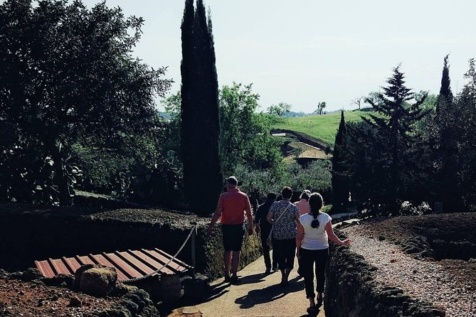 Carmona and Necropolis: Guided Day Tour From Seville - Transportation and Accessibility