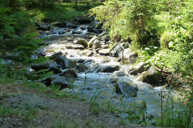 Carpathians in Romania: Bucegi Natural Park With Native Spanish Guide. - Encountering Local Shepherds