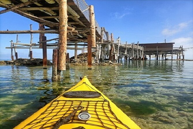 Cavalluccio Kayak Excursion in Fossacesia - Seasickness Precautions