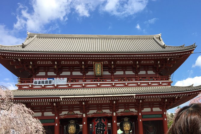Cherry Blossom Tour in Tokyo - Customer Reviews