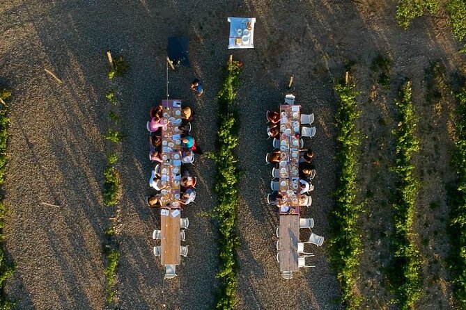 Chianti Vineyards: Small-Group Tour With Wine Tasting & Dinner - Intimate Group Experience