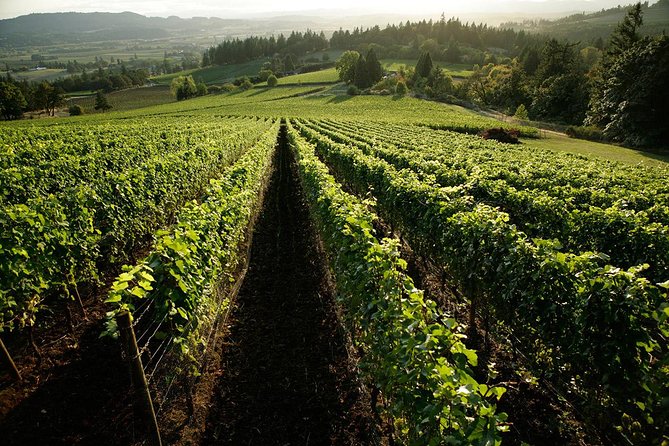 Chianti Vineyards Tours in Private Luxury Van From Florence - Booking and Cancellation Policy