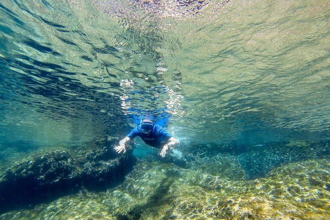 Cinque Terre Half Day Kayak Trip From Monterosso - Participant Feedback and Impressions