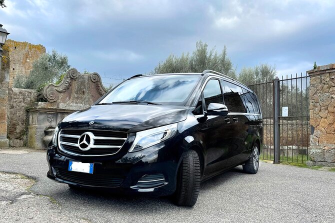 Civitavecchia Cruise Ship Port to Rome Hotel Private Transfer - Frequently Asked Questions