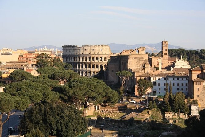 Colosseum and Ancient Rome Private Guided Tour - Accessibility Considerations
