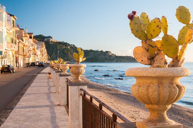 Cooking Class With Seaview With Chef Mimmo - Accessibility and Additional Information