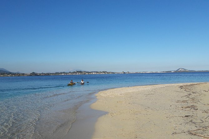 Cruise to Turtles Island and Caves With a Glass Bottom Boat - Traveler Feedback