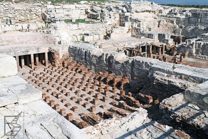 Day Trip to the Paphos Amazing Sides From Limassol. - Tour Type and Review Verification