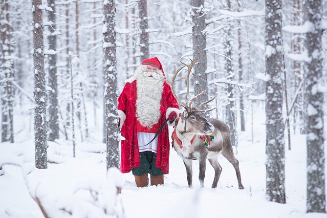 Daytour to Santa Claus Village, Reindeer and Husky Safaris, Photo, and Lunch - Arctic Circle Crossing Diploma
