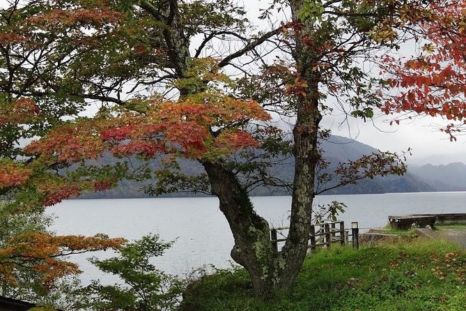 Daytrip to Nikko From Tokyo With Local Japanese Photograher Guide - About the Local Japanese Photographer Guide