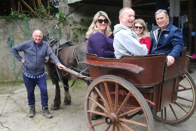 Dingle Town & Peninsula Private Chauffeur Driven Day Tour From Killarney Luxury - Traveler Testimonials and Feedback