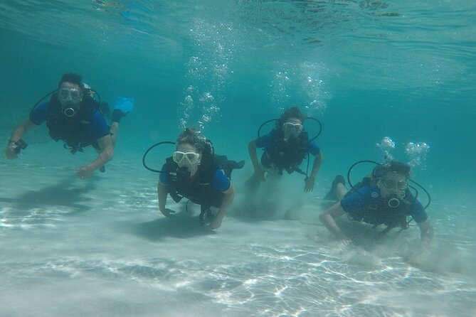 Discover Scuba Diving - Tour Details