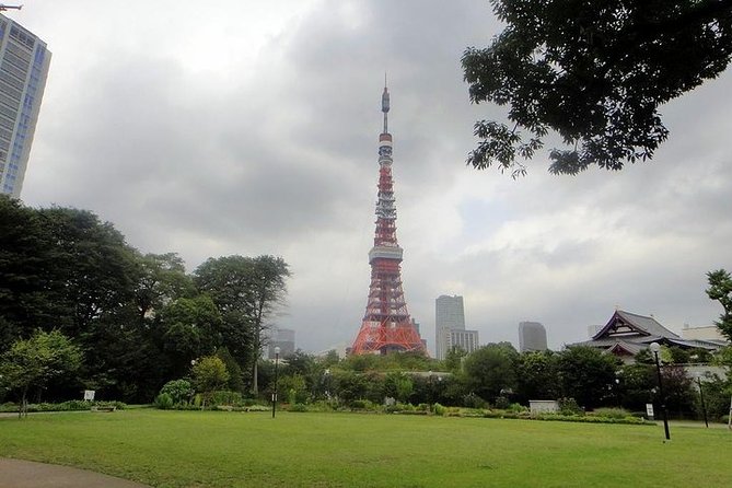 Discover Your Tokyo -Private Tokyo Customized Walking Tour- - Explore Meiji Jingu