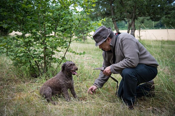 Discovery of the World of Truffles and Tasting - The Sum Up