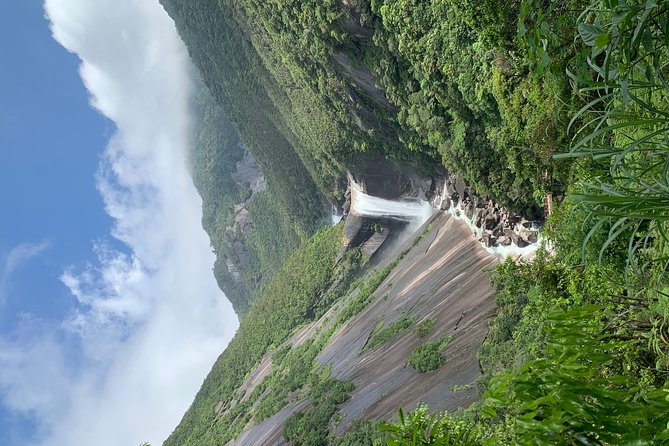 Discovery of Yakushima - Cultural Attractions in Yakushima