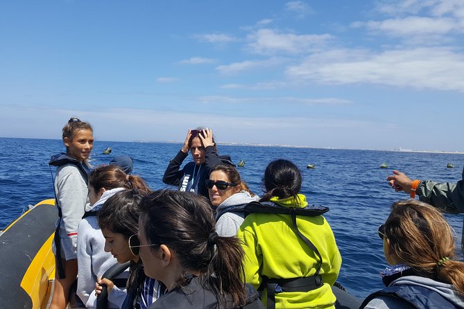 Dolphin Route - Accessibility and Traveler Requirements