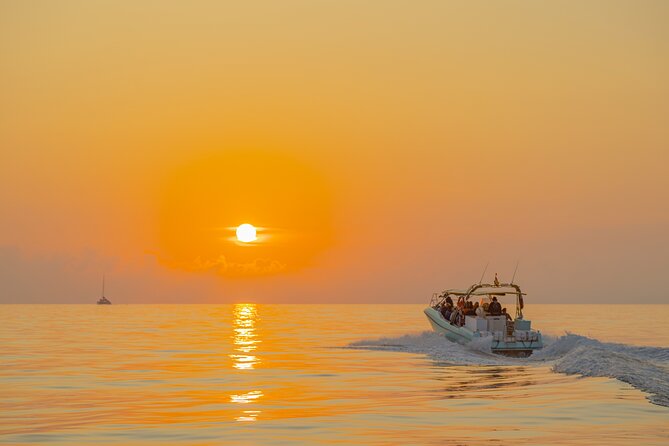 Dolphin Watching by Boat: A Review - Accessibility and Participation Details