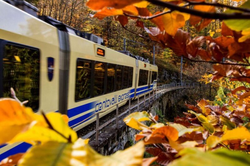 Domodossola: Centovalli Train & Valle Vigezzo Museums Ticket - Important Information