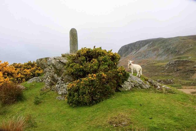 Donegal Coast One Day Self-Guided E-Bike Tour - Customer Experiences and Reviews