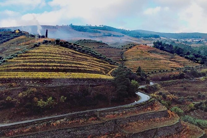 Douro Valley Private Wine Tour From Lisbon - Additional Information