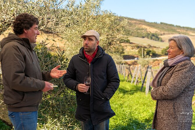 Douro Valley Unesco Heritage Fantastic Lunch & Wine Tasting - Accessibility and Participation