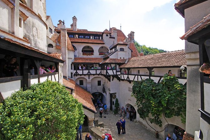 Draculas Castle, Brasov and Peles Full-Day Tour From Bucharest - Health and Safety Considerations