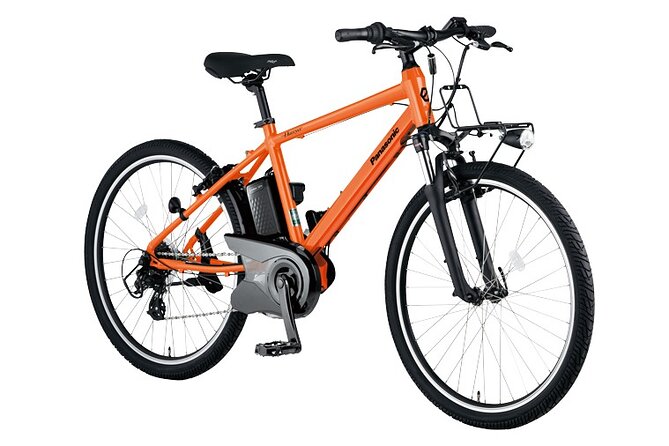 E-bike Rental in Okutama, Tokyo - Bike Sizes and Customization Options