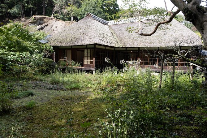 【Kamakura Zen – Private 5 Hour Walking】 Guided Tour With Lunch - Visiting Kamakuras Temples