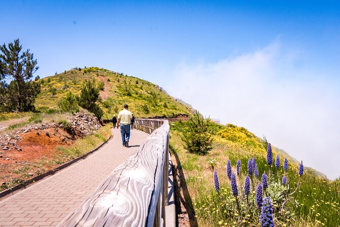 East of Madeira | Full Day 4x4 Tour - Optional Activities and Local Cuisine