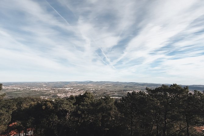 Epic Off-Road Adrenaline in Sintra - What to Expect