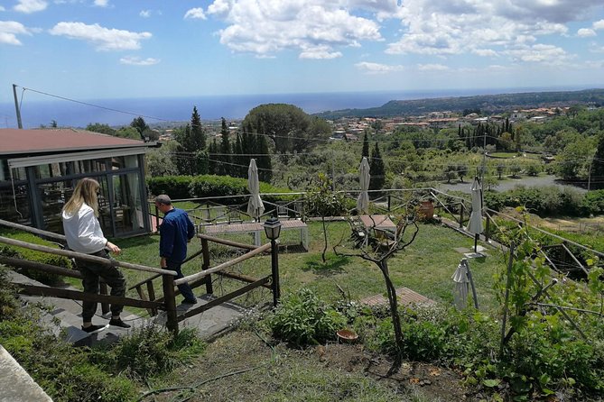 Etna and Wines Tour - Discovering Sicilian Wines