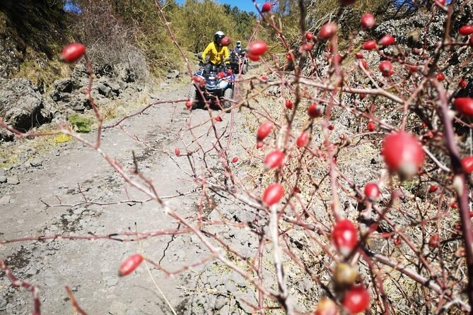 Etna Hard Tour - What to Expect