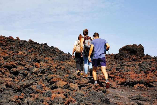 Etna Trekking and Wine Tasting - Tour Logistics and Accessibility
